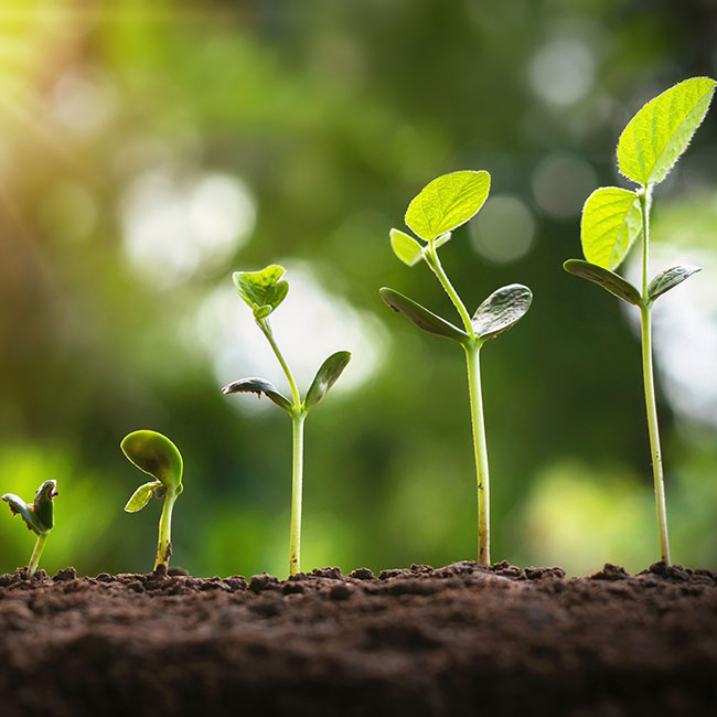 Leadership Training & Community Engagement | Collective Learning